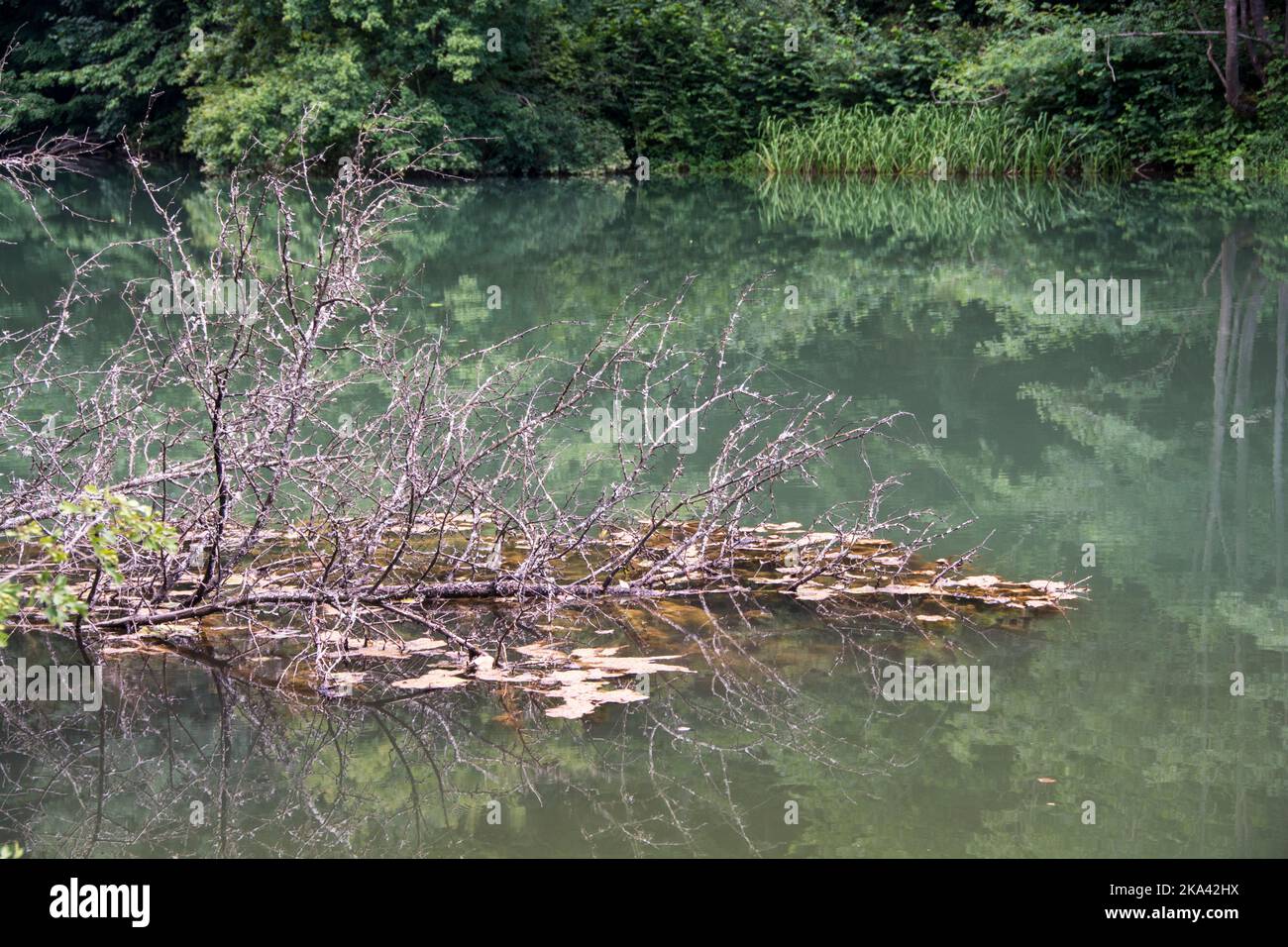 Grza lake hi-res stock photography and images - Alamy