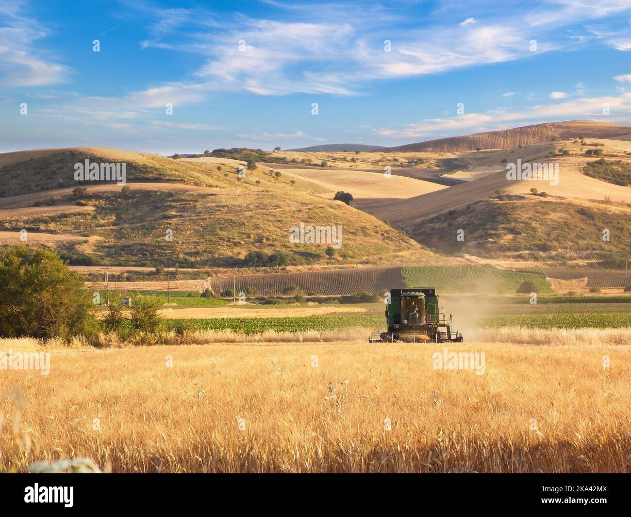 Combine harvester, wheat harvest, in a plain of Larissa. Greece Stock ...