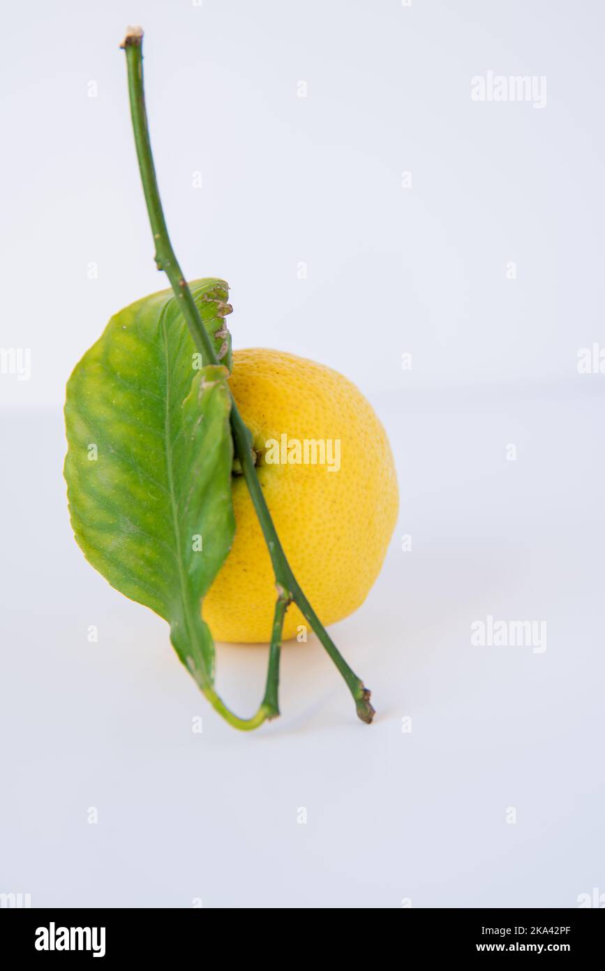 A vertical shot of lemon isolated on a white background Stock Photo - Alamy