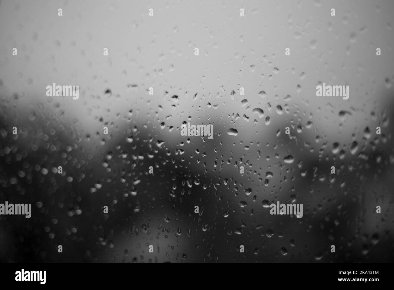 A closeup shot of rain droplets on the window Stock Photo - Alamy
