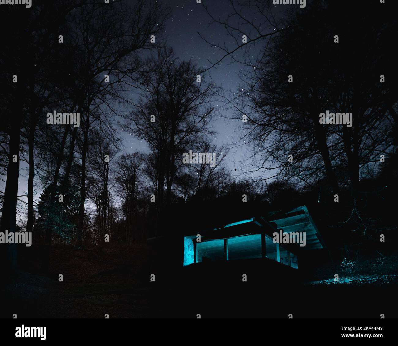 The veranda of the house illuminated by blue light at night, among the ...