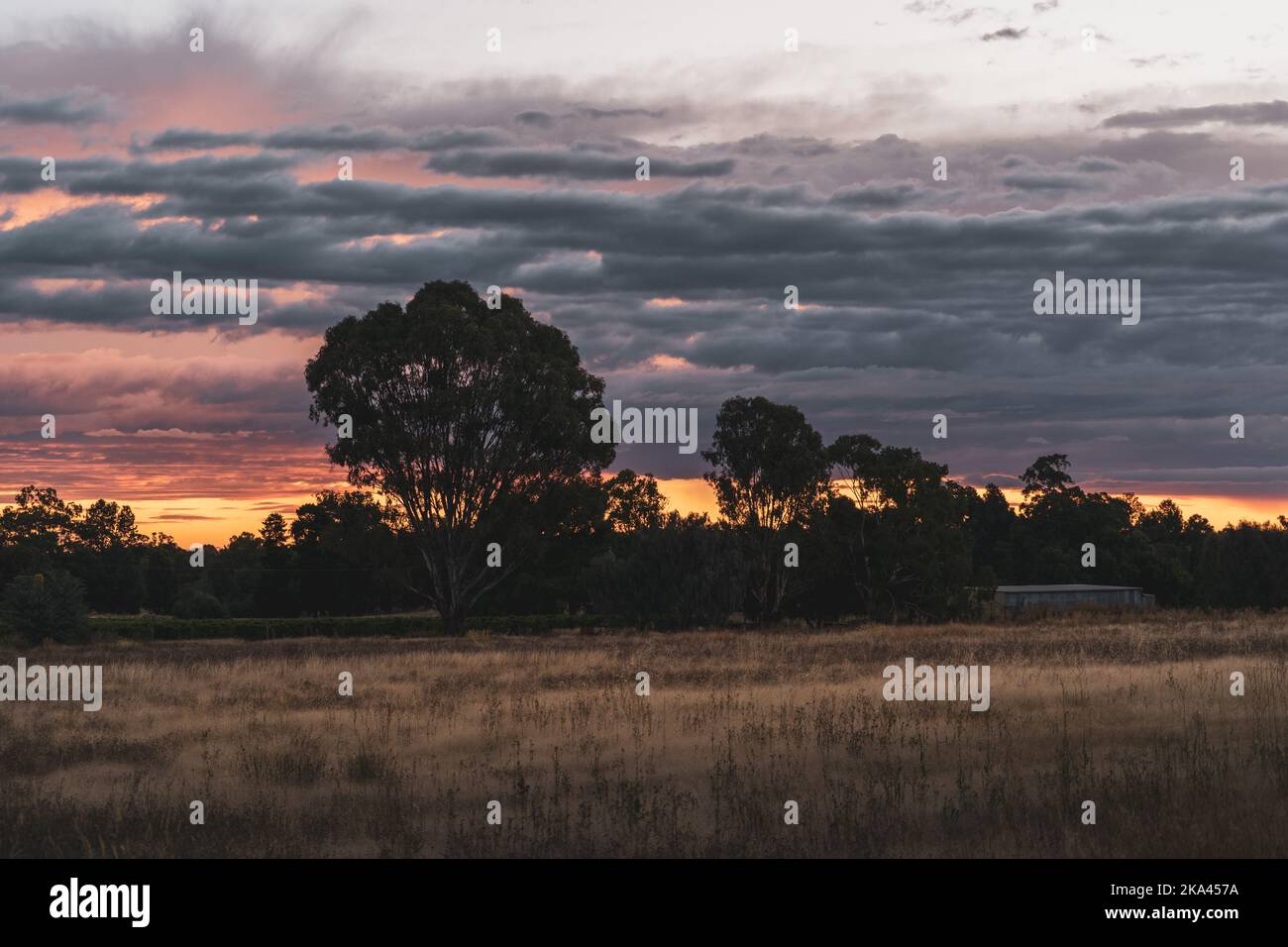A beautiful view of a field with sunset in the background Stock Photo ...