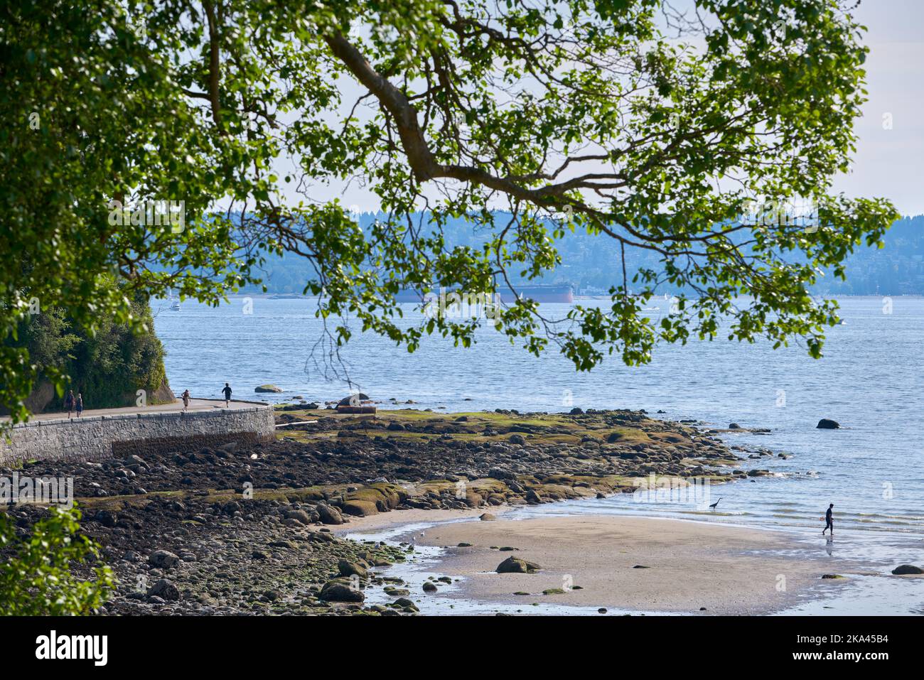 Stanley Park Seawall and Beach English Bay. The Stanley Park shoreline and seawall path that ...