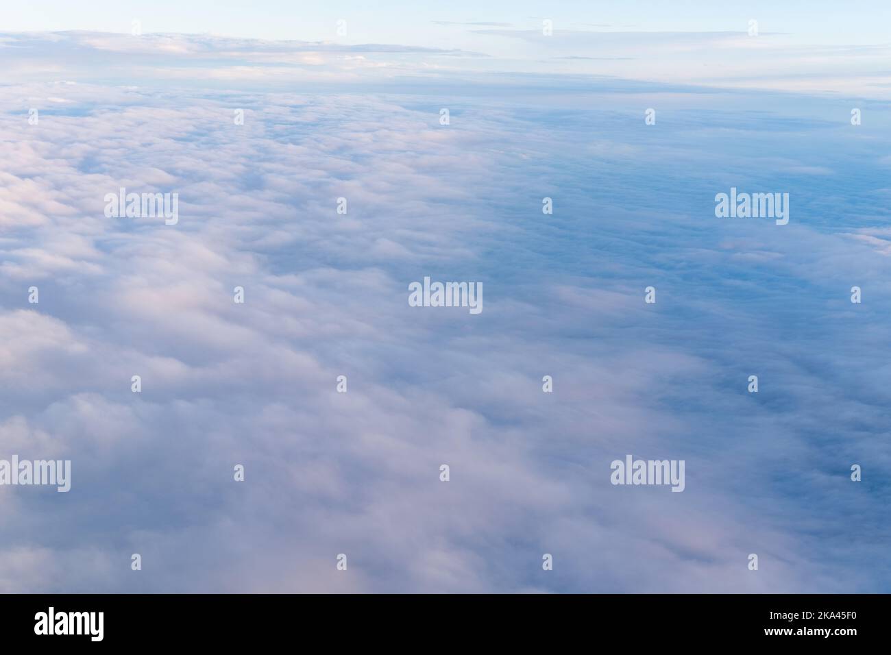 Background of a pink purple heavenly sky with fluffy dense clouds, top ...