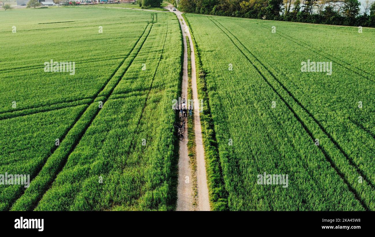 A scenic shot of a green grass meadow with a road going through it ...