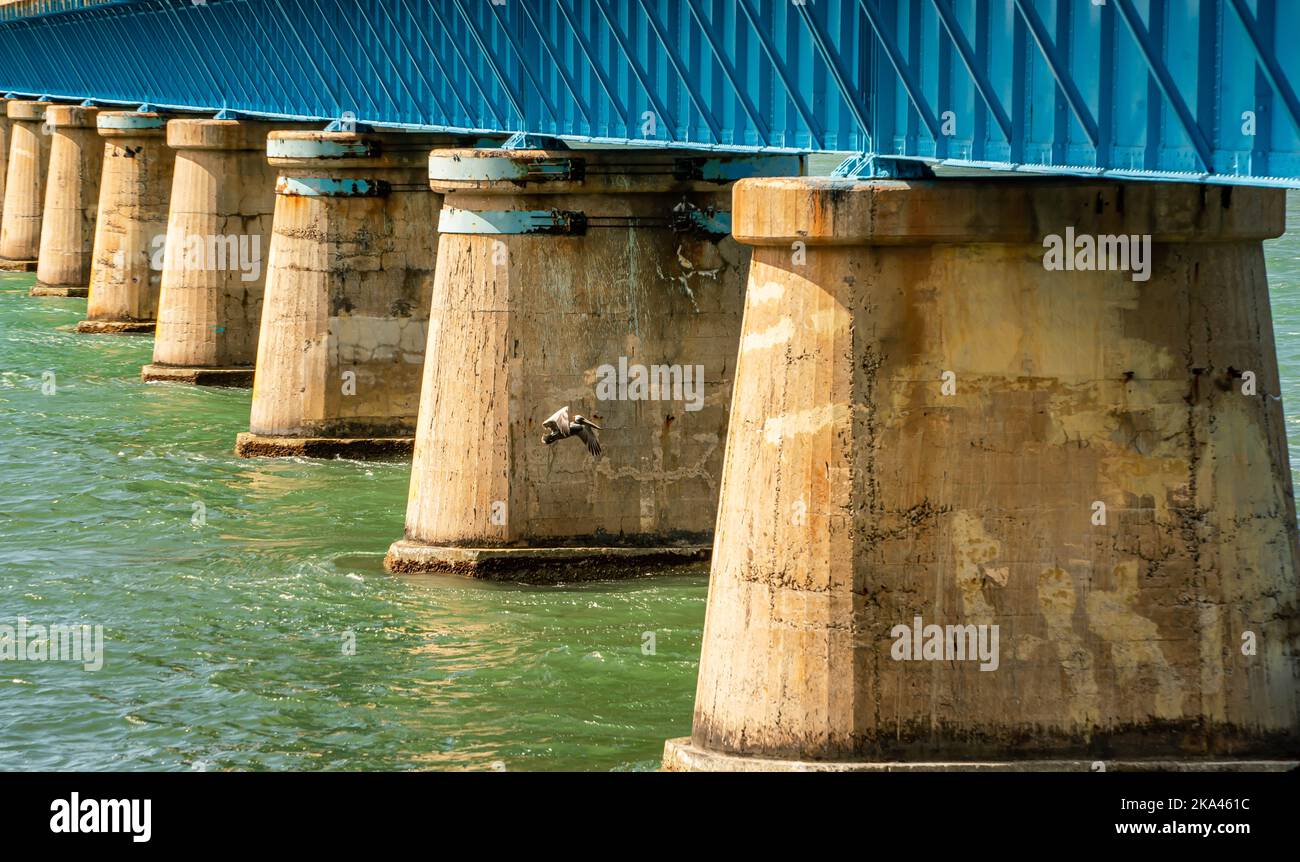 Historic Florida Keys Bridge Reopens As a Beautiful Walking and Biking ...