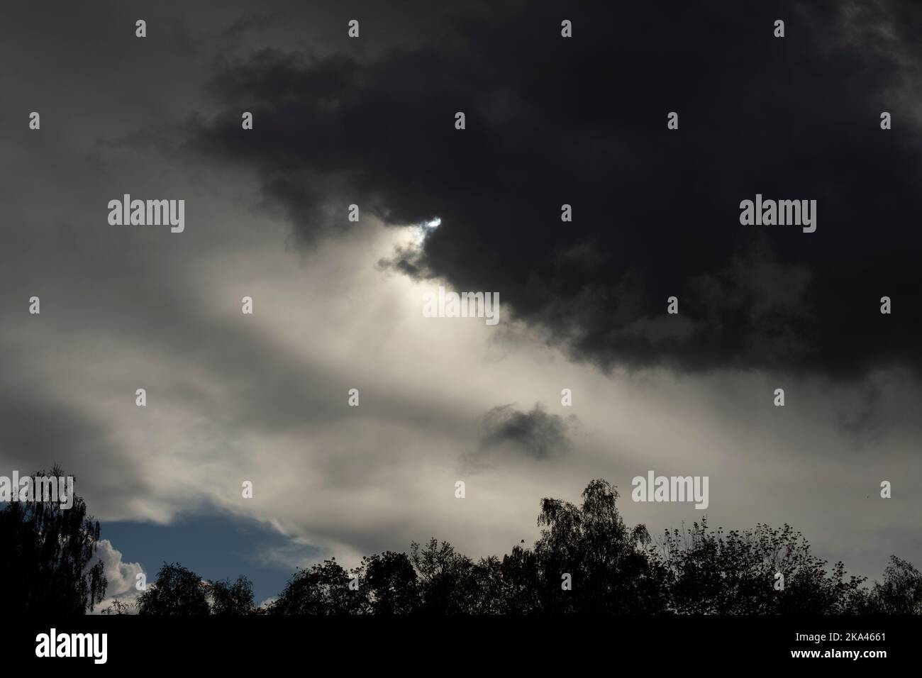Cloud obscures sun. Grey sky. Cloudy weather. Tragic sky over forest ...