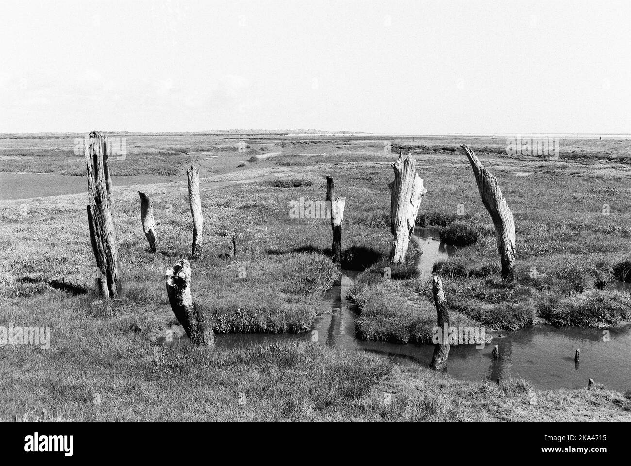Best lane Black and White Stock Photos & Images - Alamy