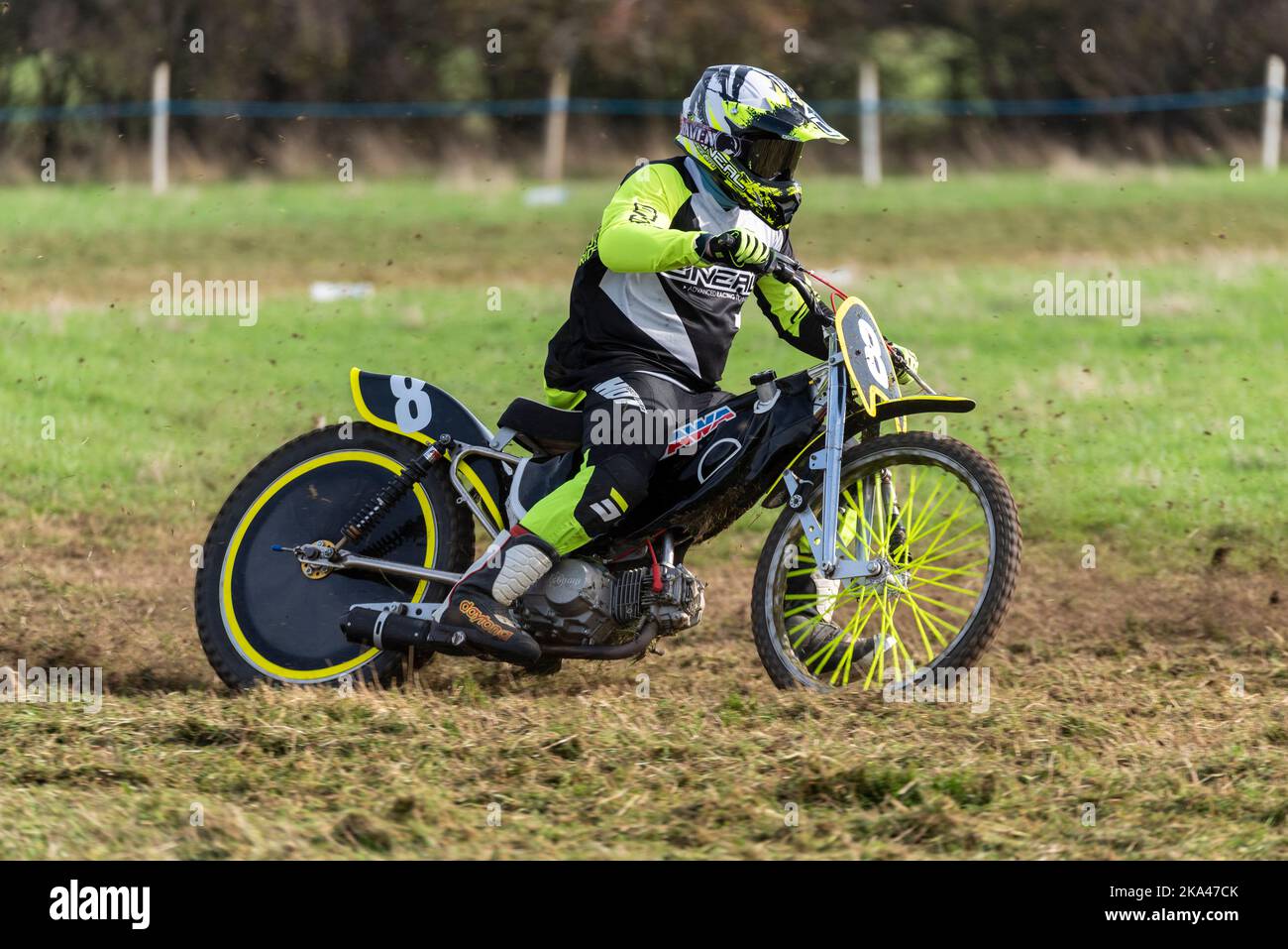 Thomas wilding hi-res stock photography and images - Alamy