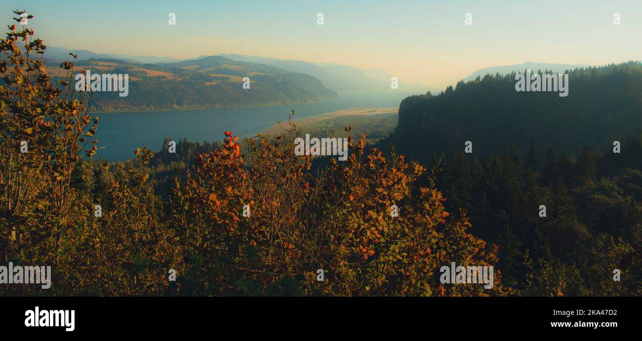 View of the Columbia River gorge in Oregon Stock Photo - Alamy
