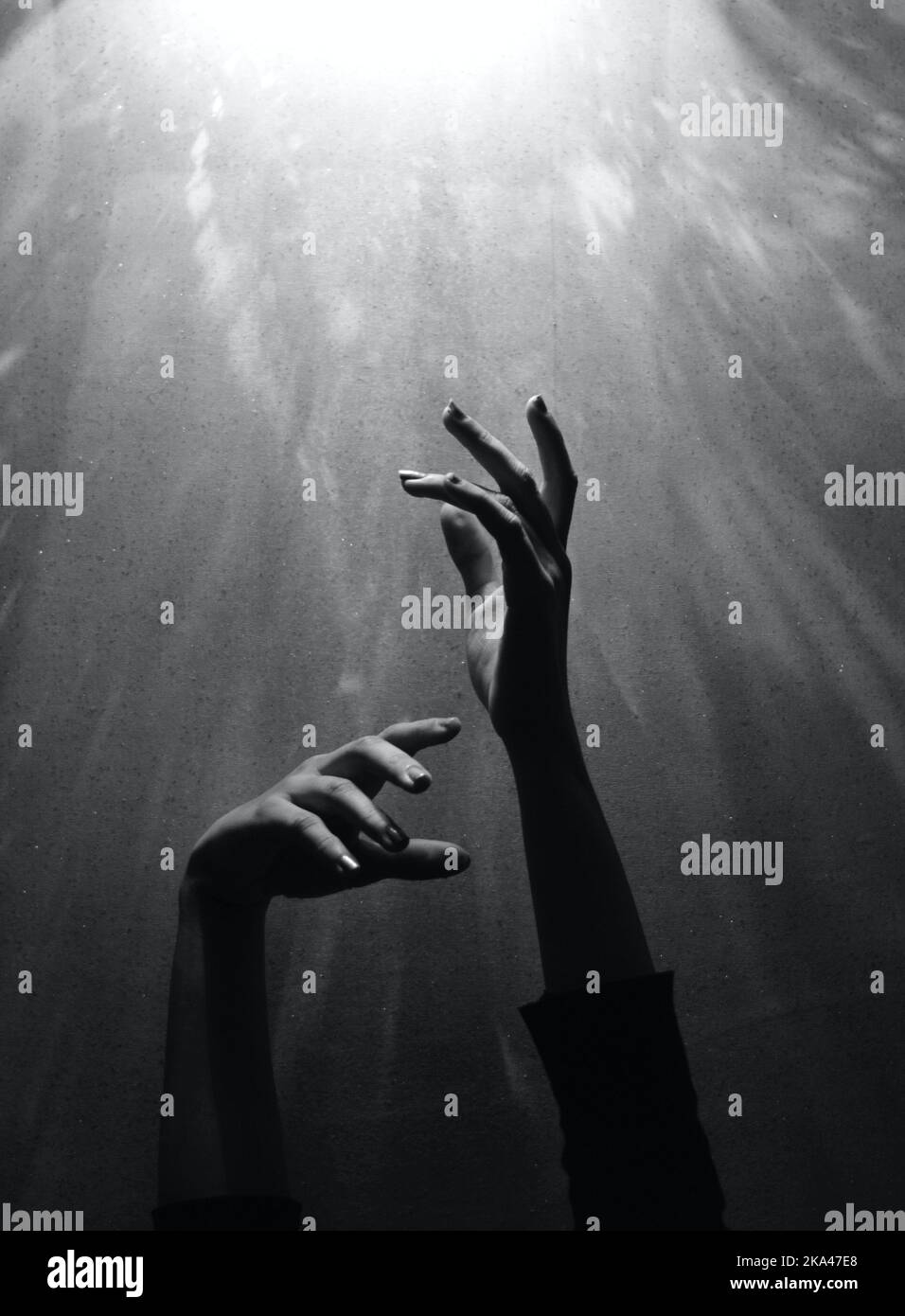 A vertical grayscale view of hands of a female Stock Photo - Alamy