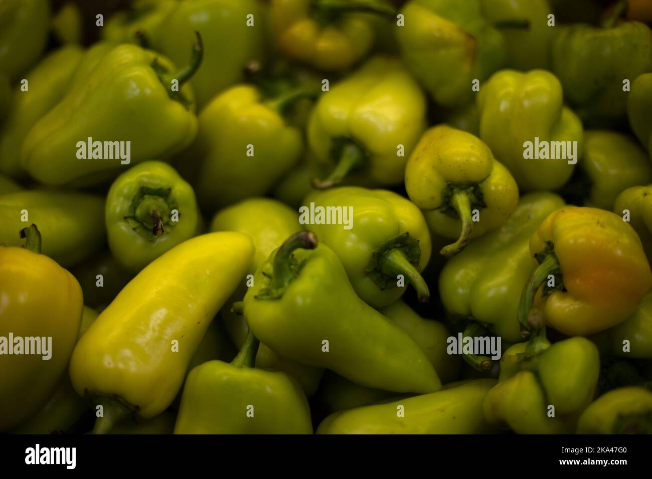 Green pepper. Vegetables on market. Pepper texture. Healthy food. Green ...