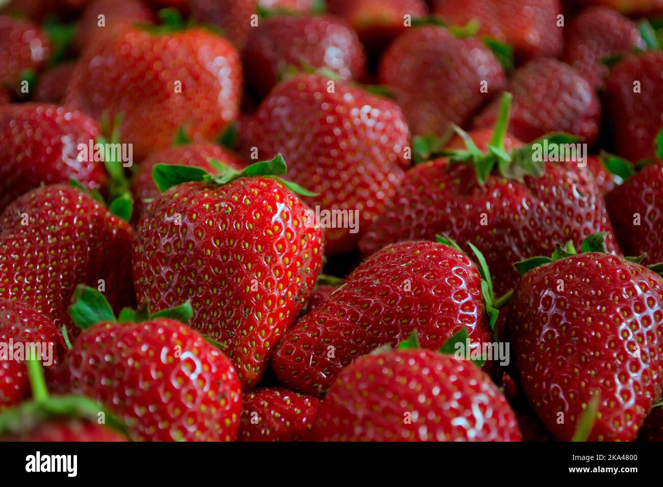 A closeup of a pile of ripe red strawberries on sale at the market ...