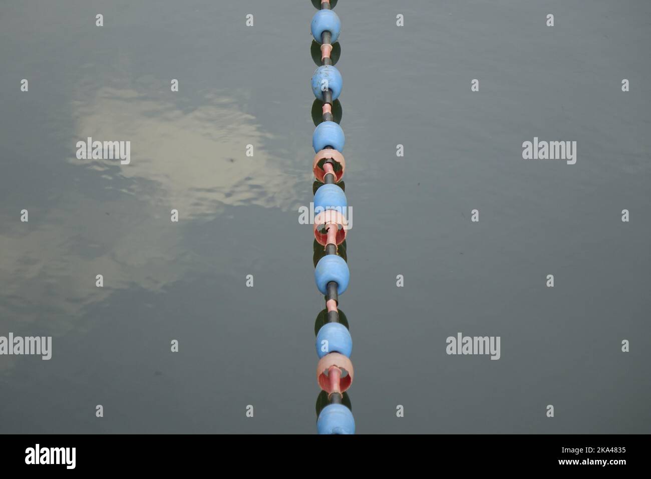 Swim separation hi-res stock photography and images - Alamy