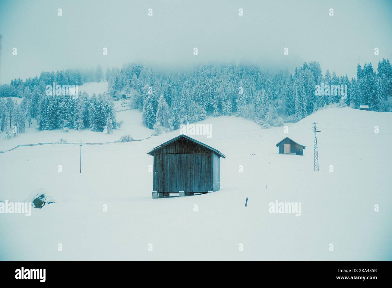 A chilling view old hut against pine forest during winter Stock Photo ...