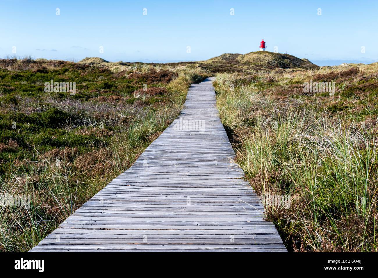 Plank road, East coast of Amrum, Germany. Amrum is one of the North ...