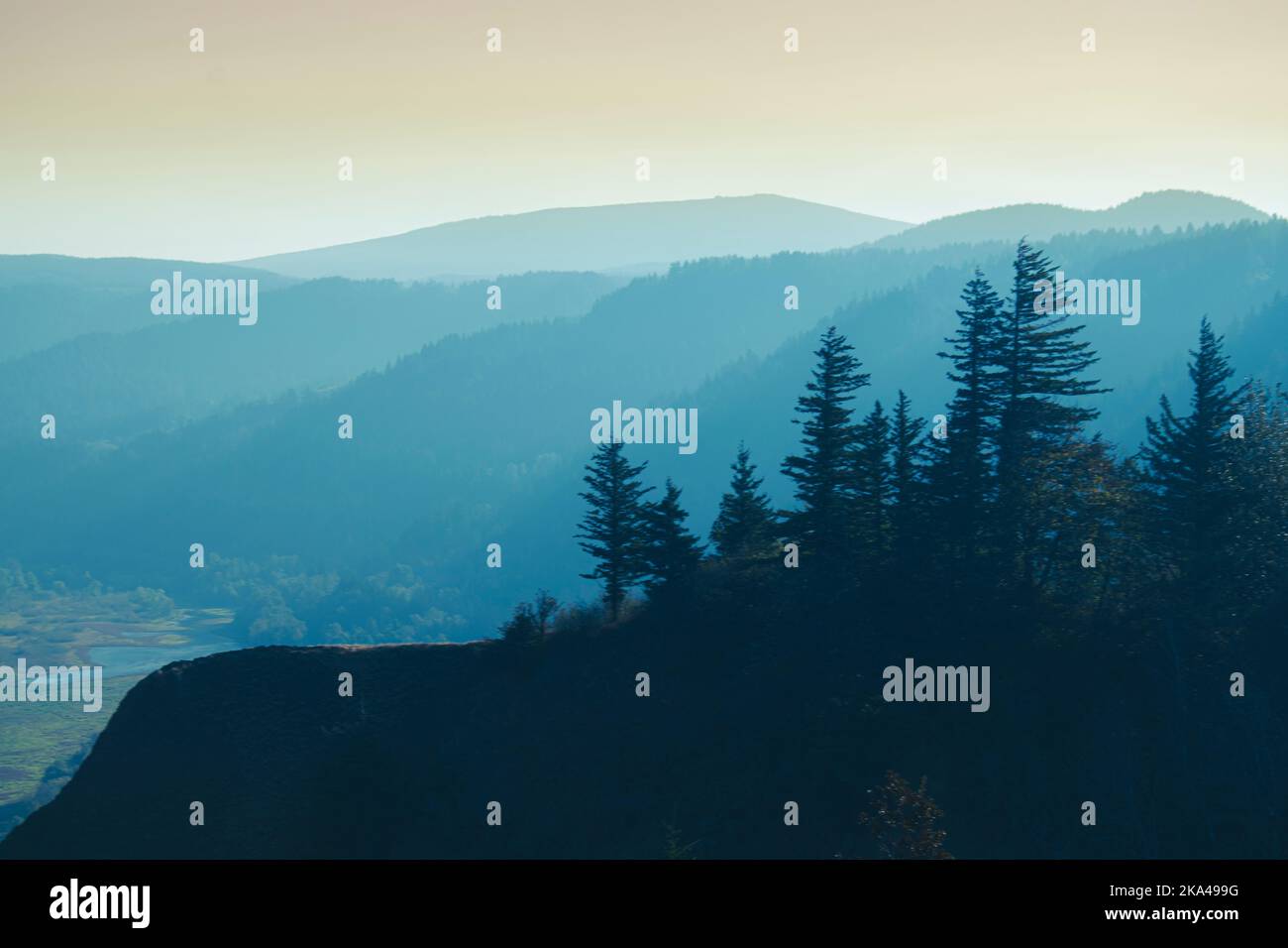 The pine tree lined cliffs along the Oregon Columbia River Gorge, with ...