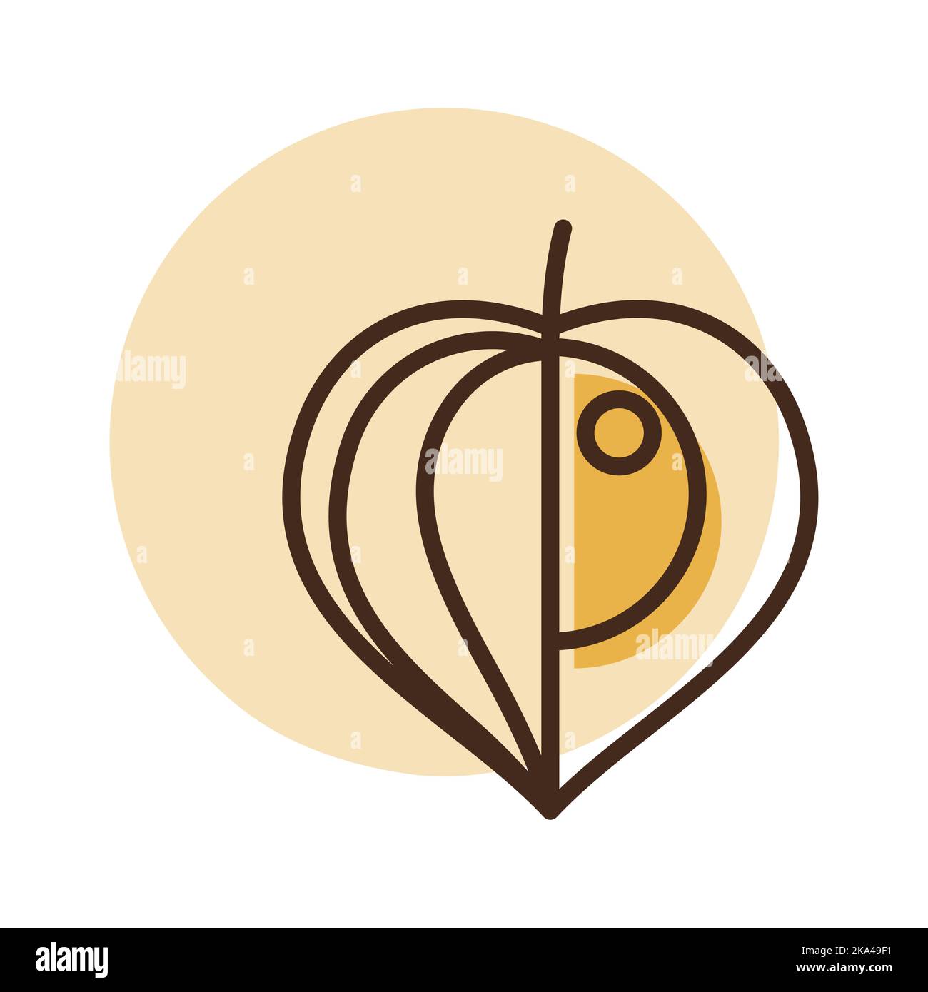 Physalis berries isolated design vector icon. Graph symbol for food and ...