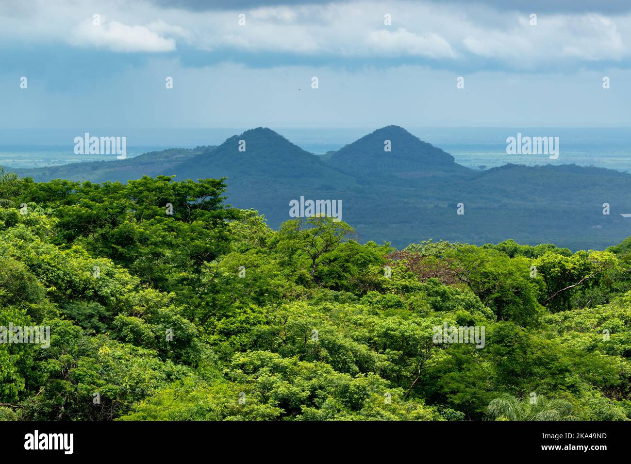 A tropical landscape of a lush jungle with mountains in the background ...