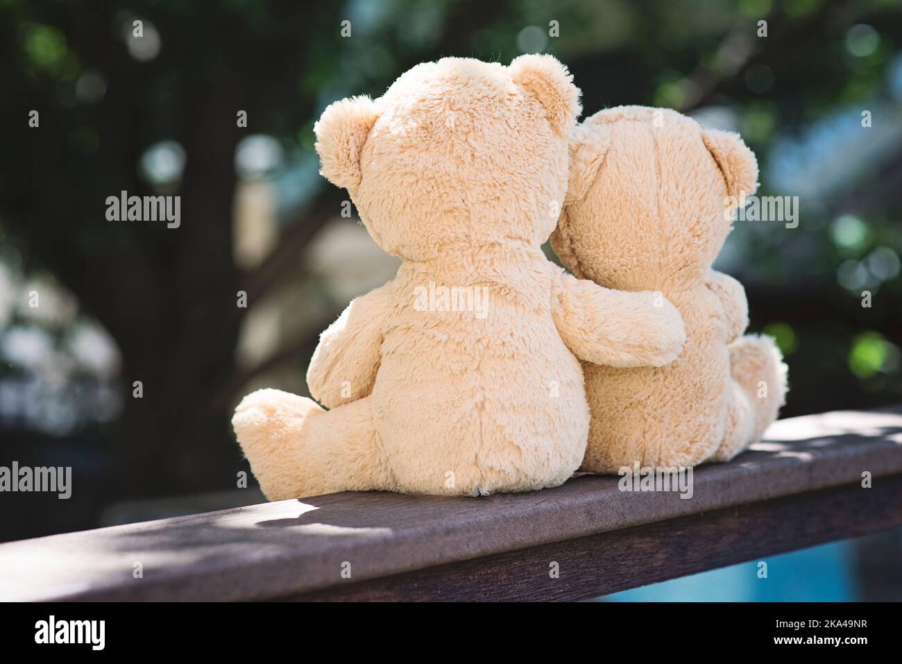 Teddy Bear best friends. Love, family and friendship concept Stock ...
