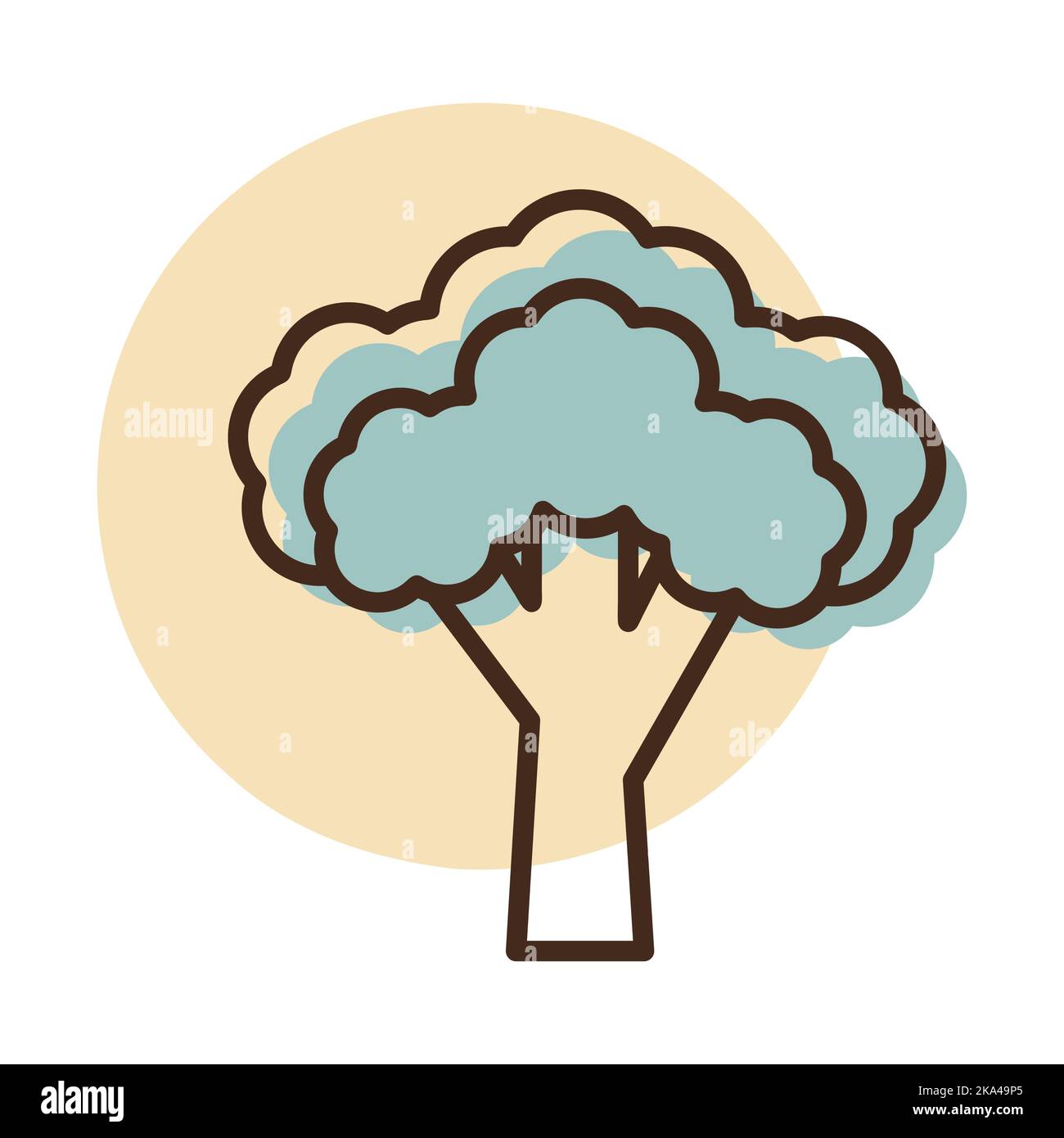 Broccoli isolated design vector icon. Vegetable sign. Graph symbol for ...