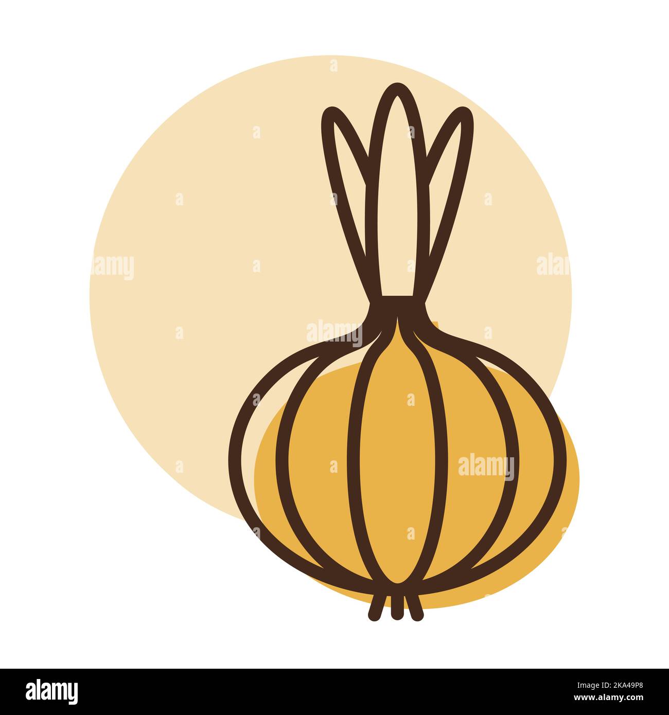 Onion isolated design vector icon. Vegetable sign. Graph symbol for ...