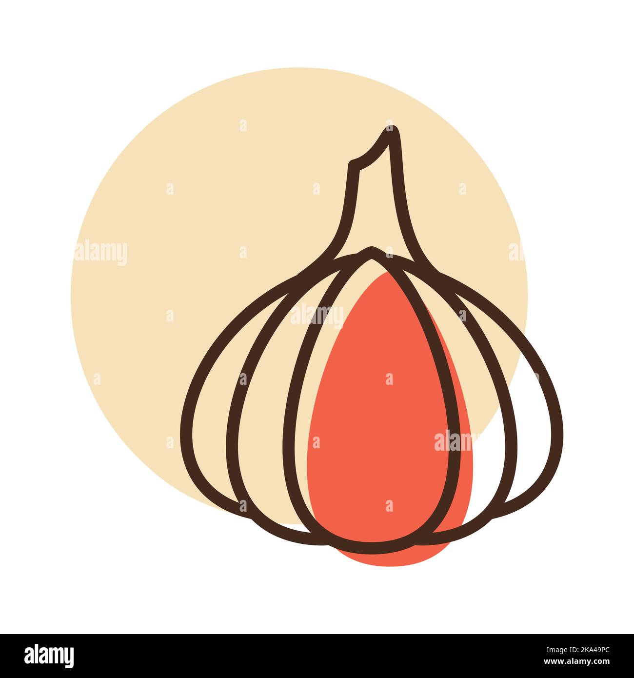 Garlic bulb, allium sativum isolated design vector icon. Vegetable sign ...
