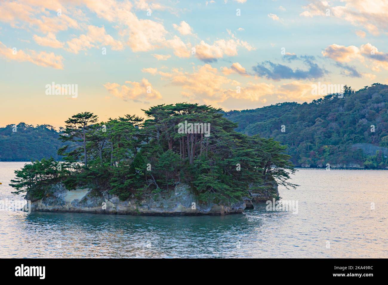 Matsushima Bay in dusk, beautiful islands covered with pine trees and ...