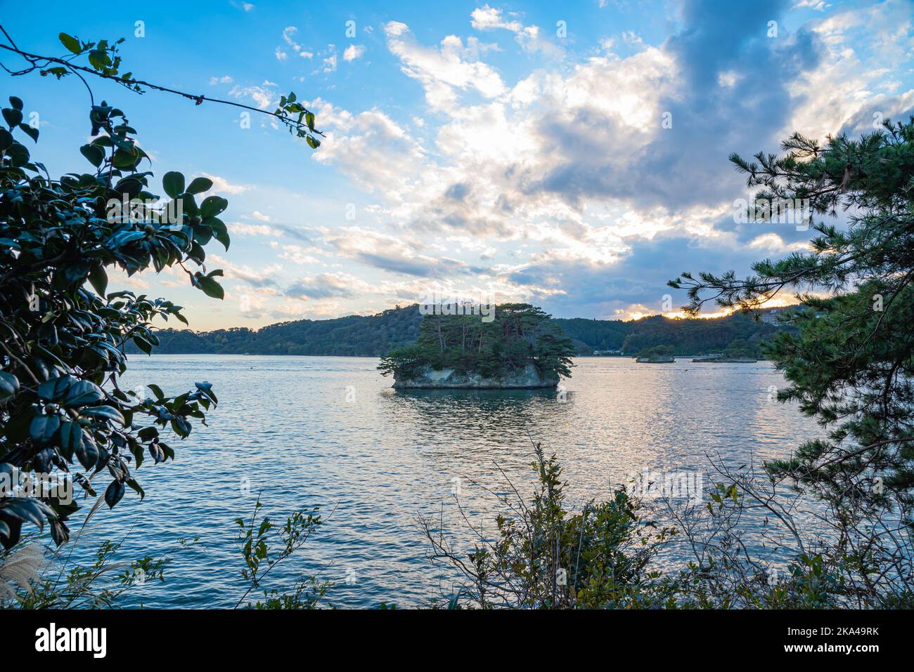 Matsushima Bay in dusk, beautiful islands covered with pine trees and ...