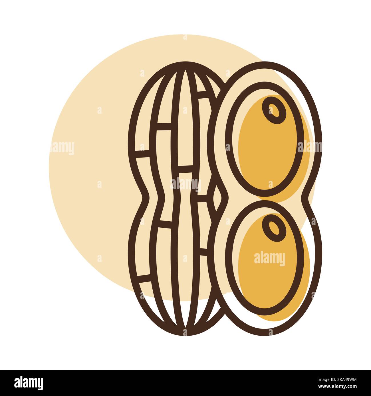 Peanut isolated design vector icon. Vegetable sign. Graph symbol for ...