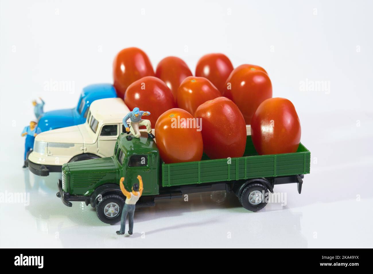 various trucks loaded with ripe tomatoes, oblique top view. White ...