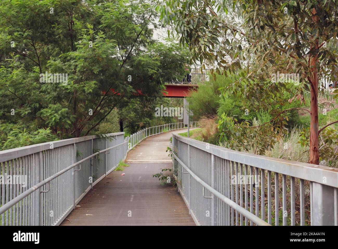 tree lined walking and bike path alongside the werribee river with ...