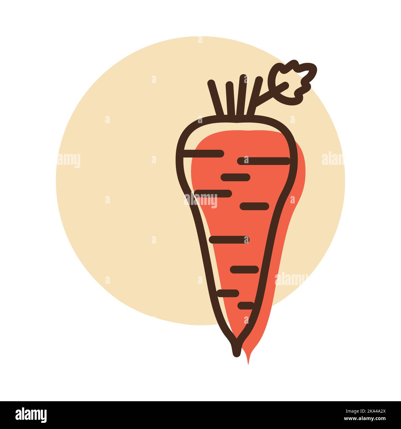 Parsnip root isolated vector icon. Vegetable sign. Graph symbol for ...