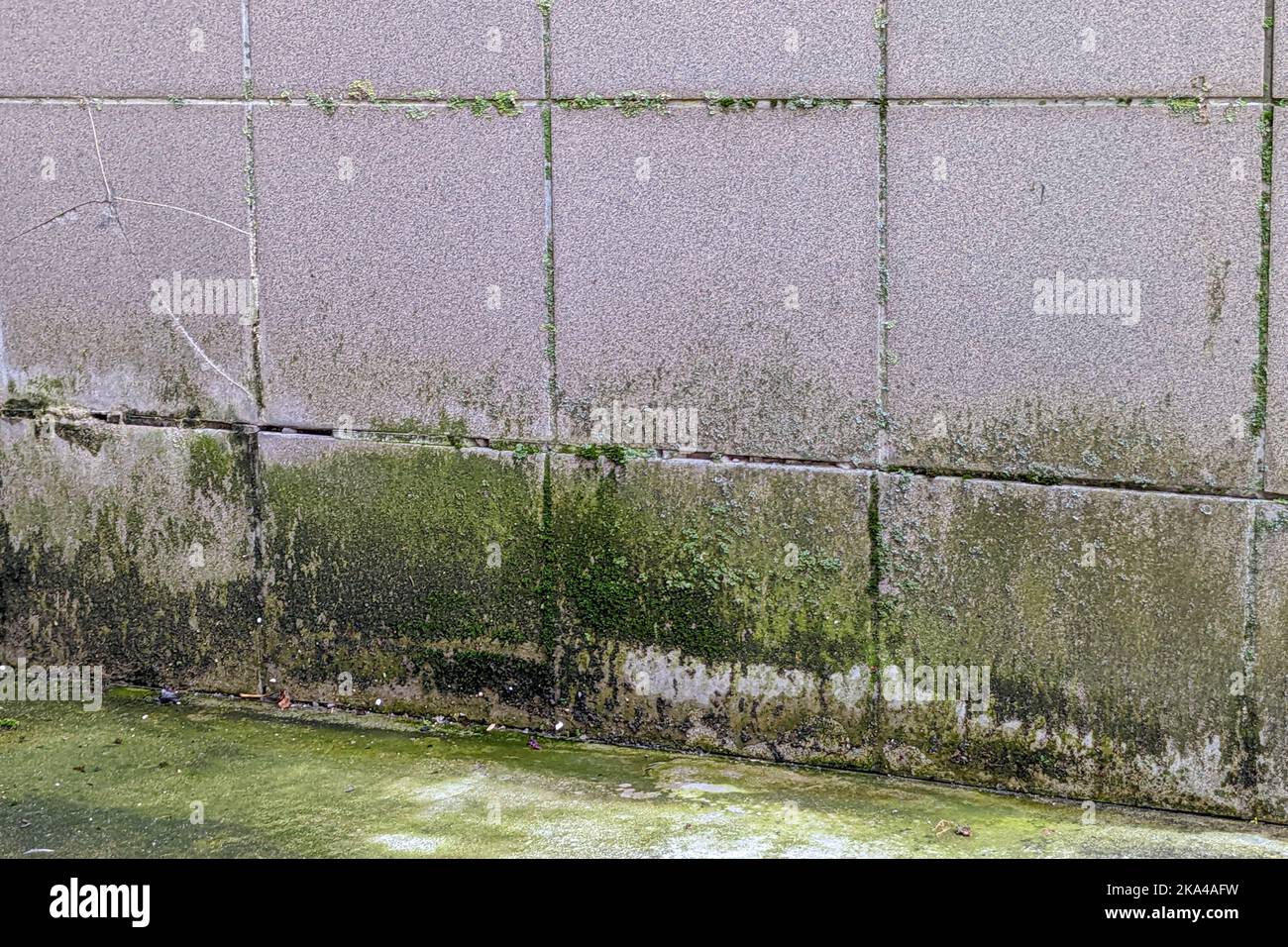 Damage caused by water leakage on building wall outside. Rainwater runs ...