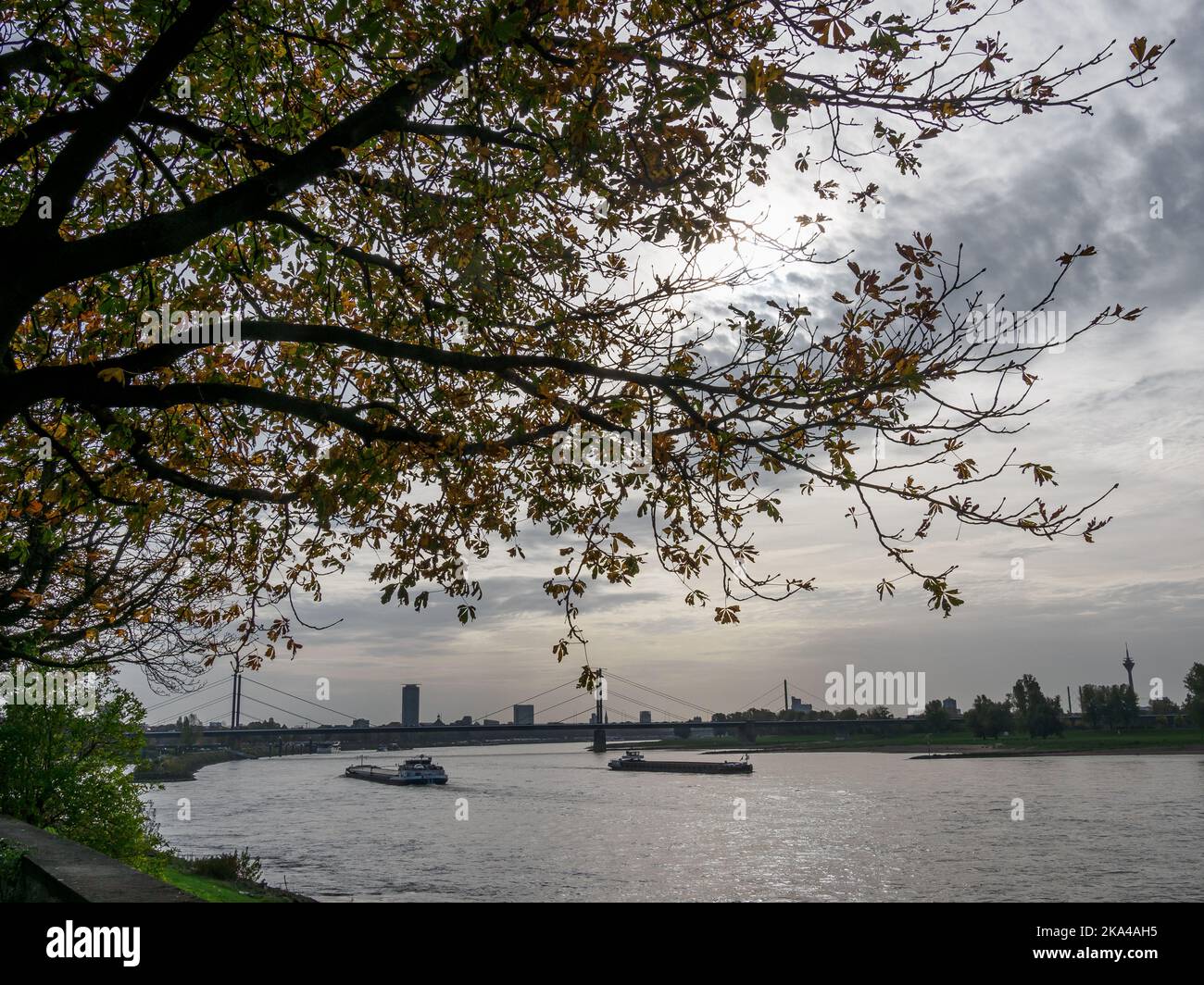 the city of Dusseldorf at the river rhine Stock Photo - Alamy