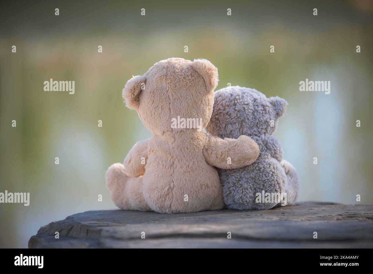 Teddy Bear Love and Support Stock Photo - Alamy