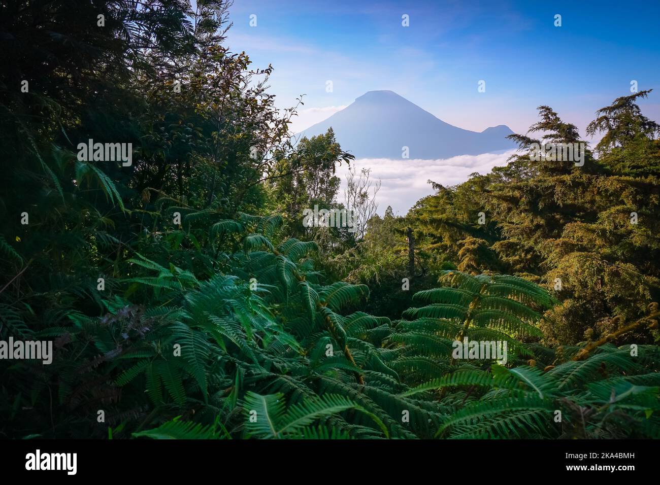 Beautiful sunrise view from sikunir dieng Indonesia. Mountain with ...