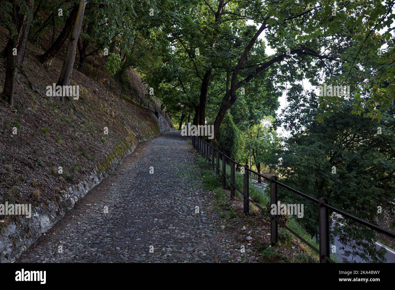 Road on a hill seen from a path above it in a park Stock Photo - Alamy
