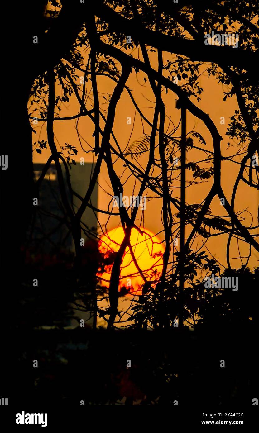 A mesmerizing view of a moon in the dark sky at night seen through the ...