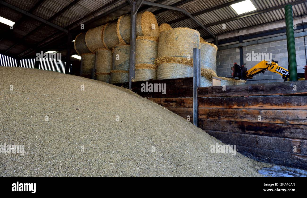 Grain and sillage storage at farm near Farrington Gurney, Somerset ...
