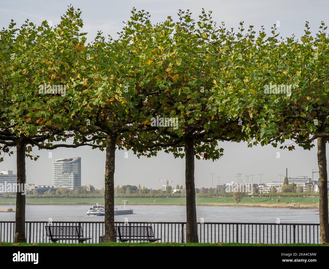 the city of Dusseldorf at the river rhine Stock Photo - Alamy