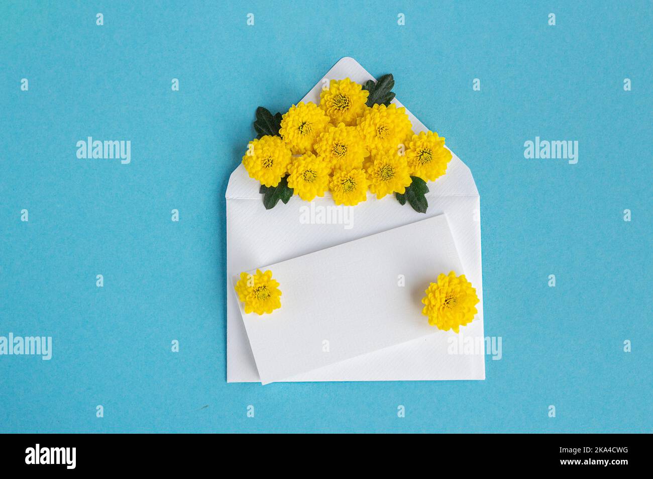 Sheets of card in envelope hi-res stock photography and images - Alamy