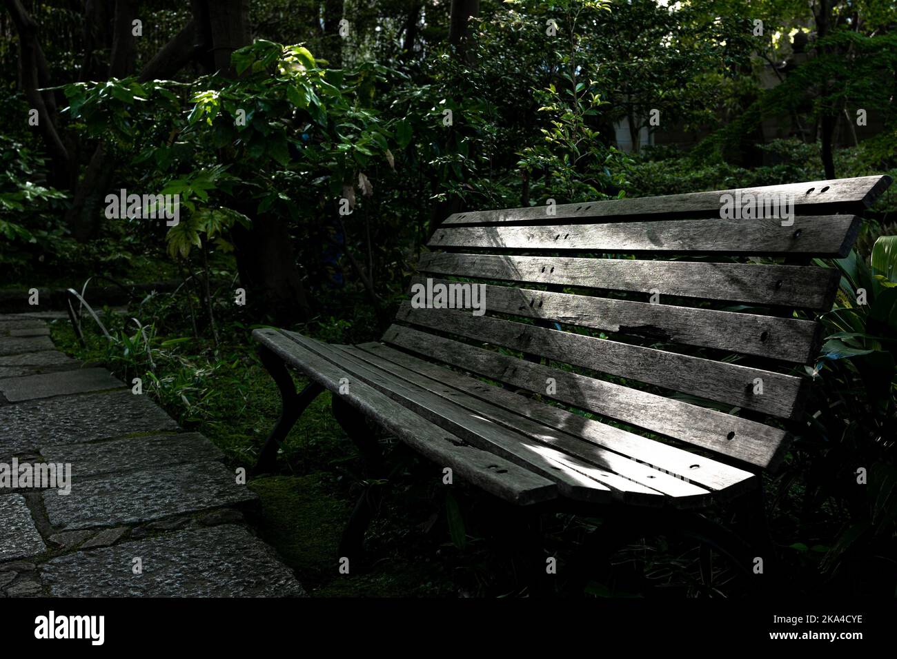 An old wooden bench in a park in Tokyo, Japan Stock Photo - Alamy