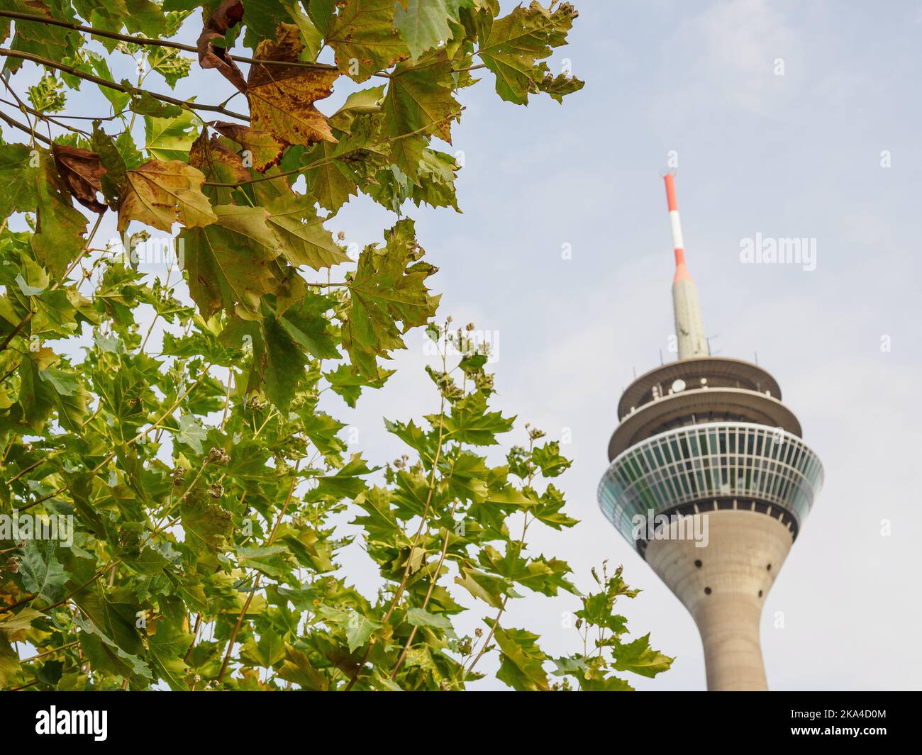 the city of Dusseldorf at the river rhine Stock Photo - Alamy