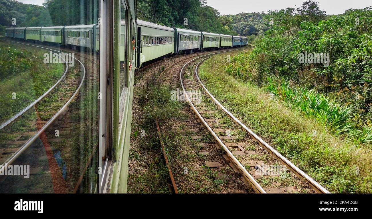 Atlantic forest train brazil hi-res stock photography and images - Alamy