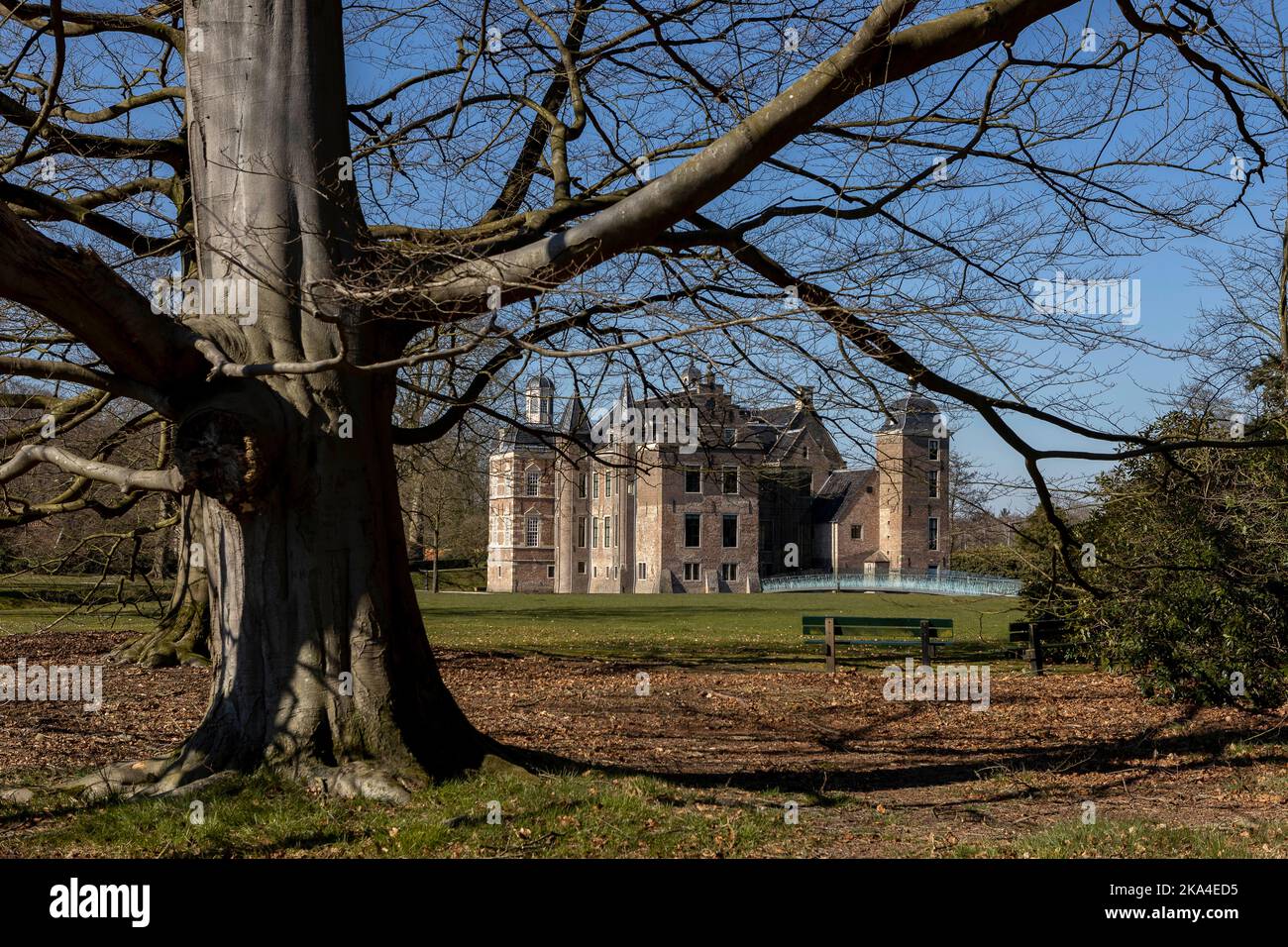 Winter barren tree and branches brightly with brick exterior facade of ...