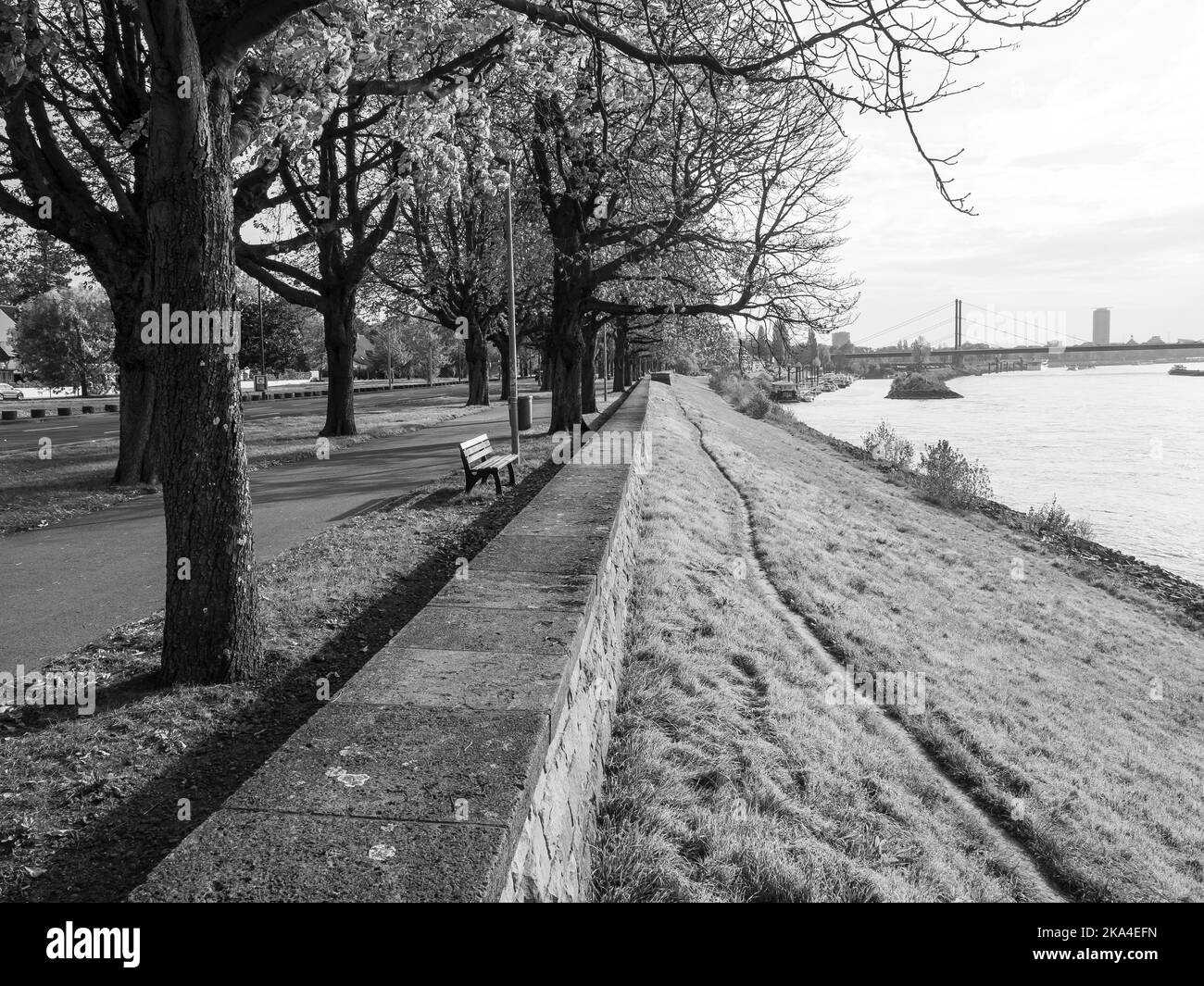 the city of Dusseldorf at the river rhine Stock Photo - Alamy