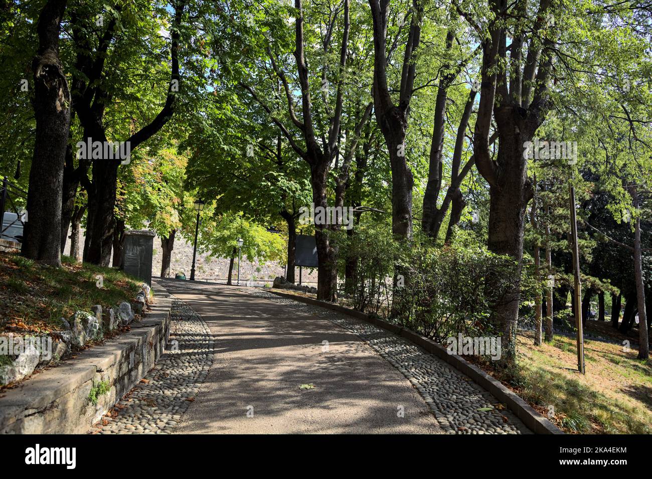 Descending paved path in a park forking with a stone staircase Stock ...