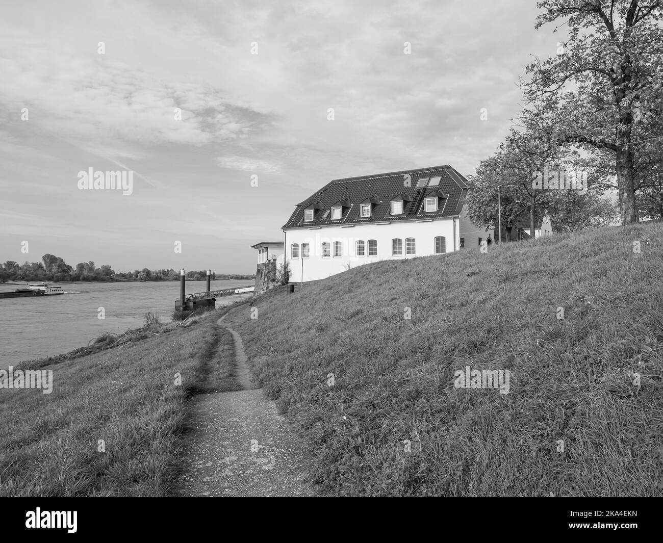 the city of Dusseldorf at the river rhine Stock Photo - Alamy