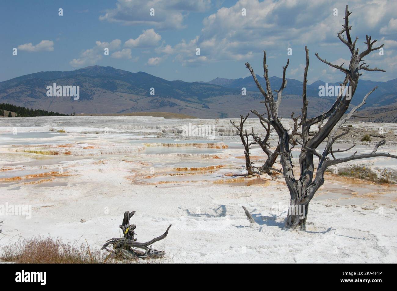 The hot springs in Yellowstone looks like snowy island Stock Photo - Alamy